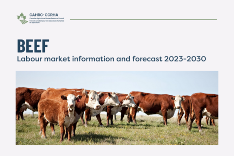 BEEF - Labour market information and forecast 2023-2030 | CAHRC-CCRHA